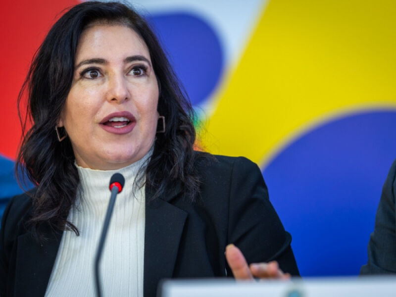 Simone Tebet participa de audiência pública sobre desenvolvimento ...