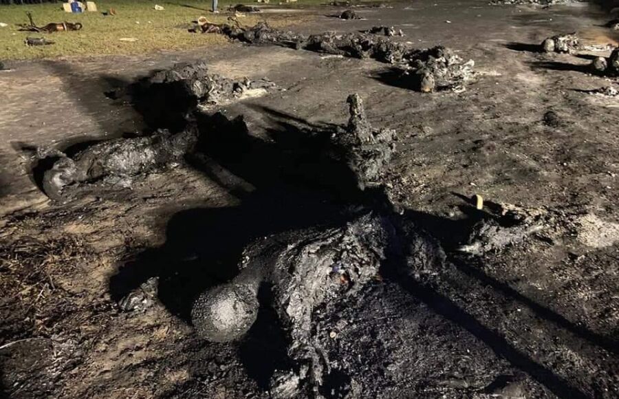 Imagens fortes - México já identificou dez, dos 68 restos mortais ...